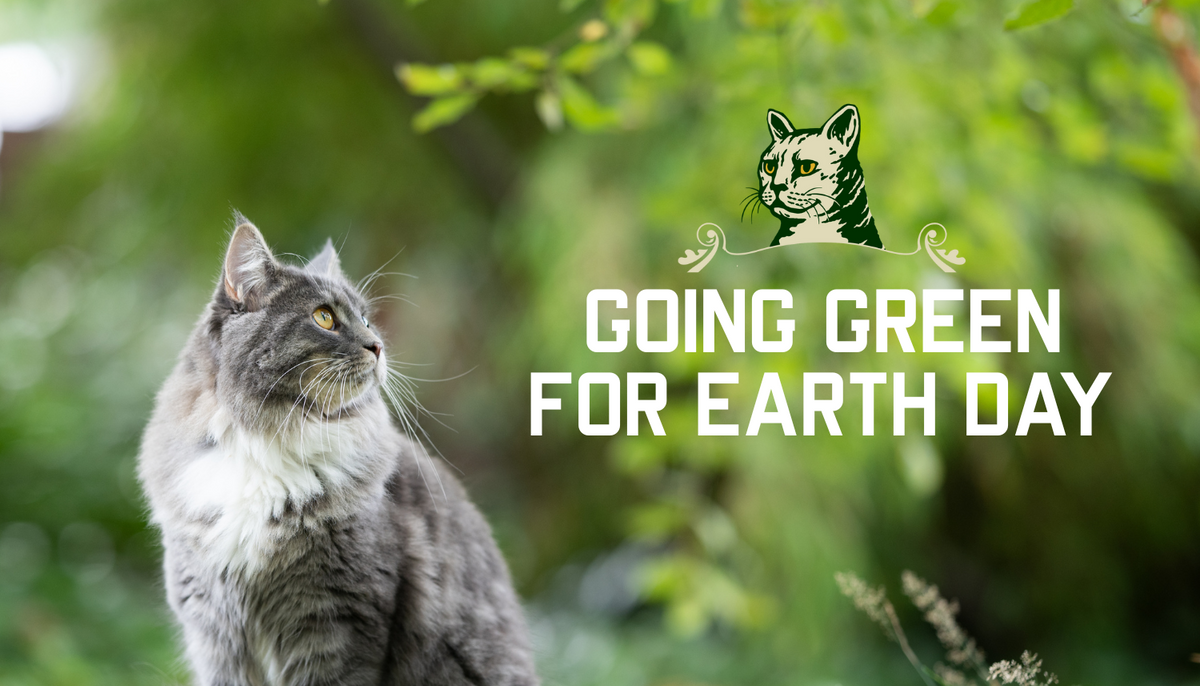 Going Green with Your Pet for Earth Day (and Beyond) | Catalyst Pet
