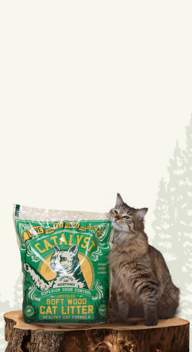 5 Reasons to Switch to Catalyst Pet | Catalyst Pet