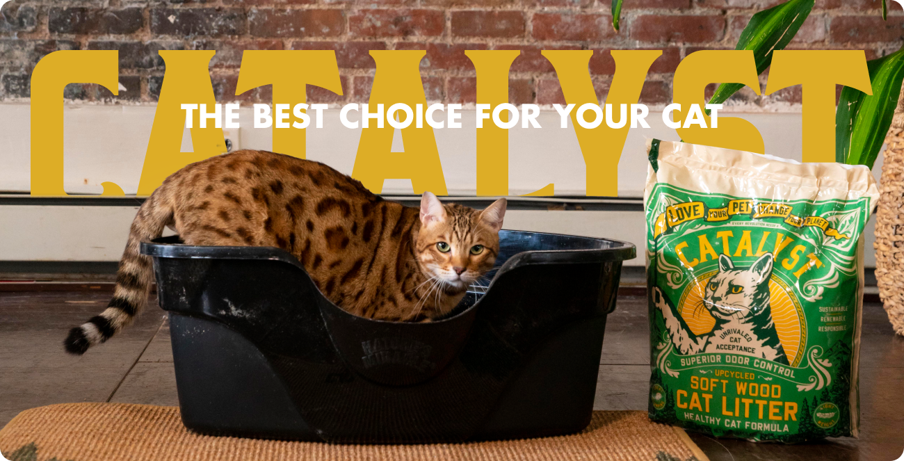 modifying-your-subscription | Catalyst Pet