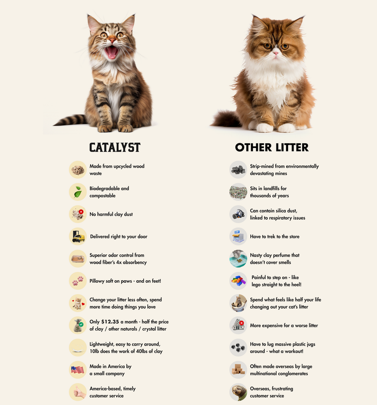 Best Catalyst Healthy Cat Litter Formula For Sensitive Cats | Catalyst Pet