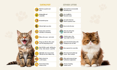 Catalyst Pet | World’s Best Catalyst Cat Pet Litter in USA