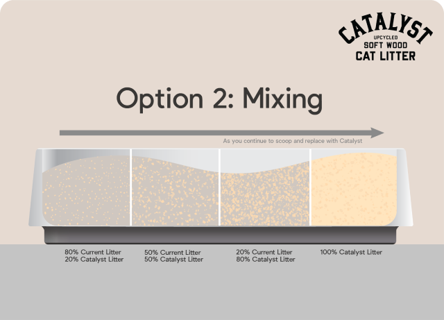 Make The Change With Catalyst's Revolutionary Pet Products | Catalyst Pet