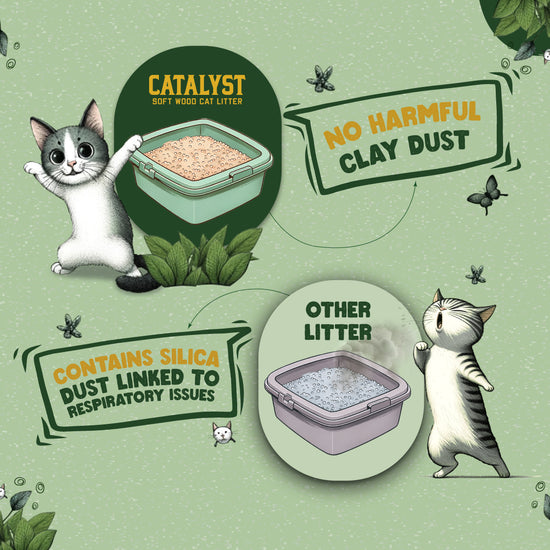 Catalyst Cat Litter Multi Cat - High Performance Eco-Friendly Clumping Litter | Catalyst Pet