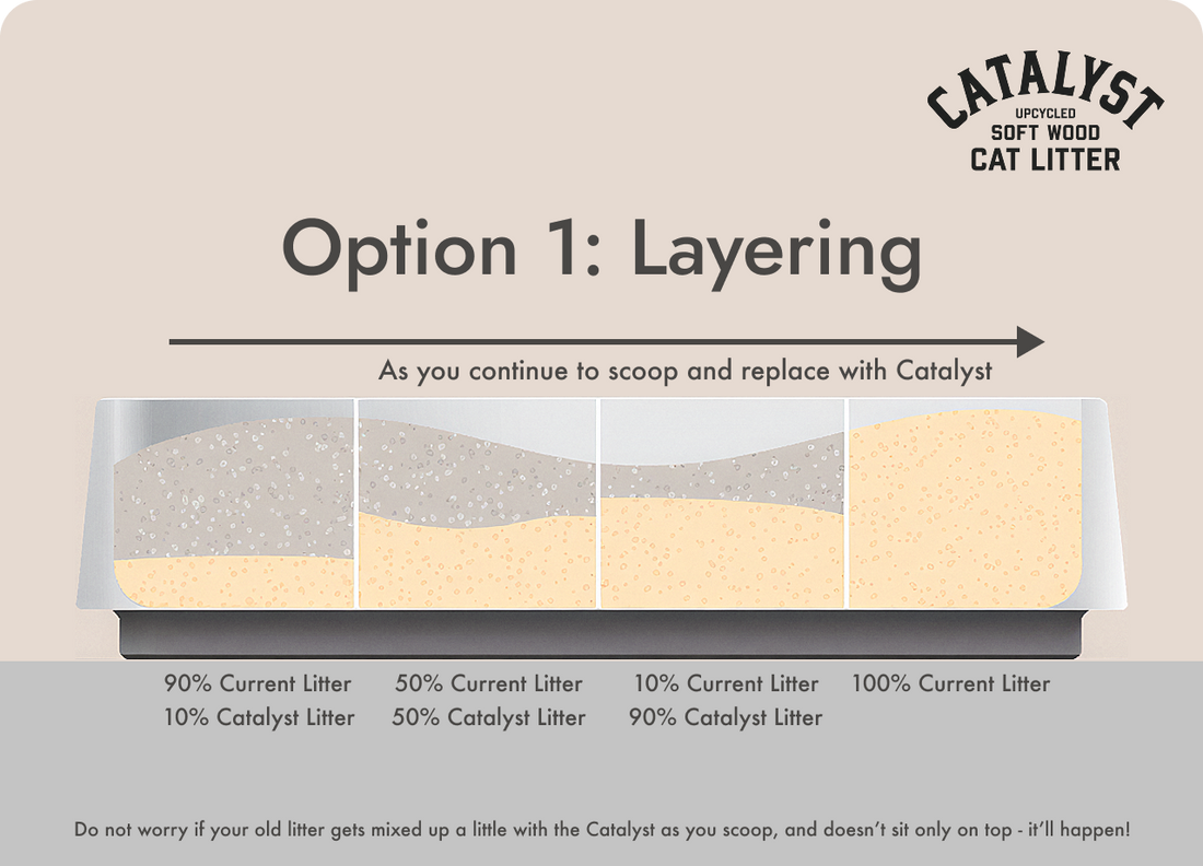 Make The Change With Catalyst's Revolutionary Pet Products | Catalyst Pet