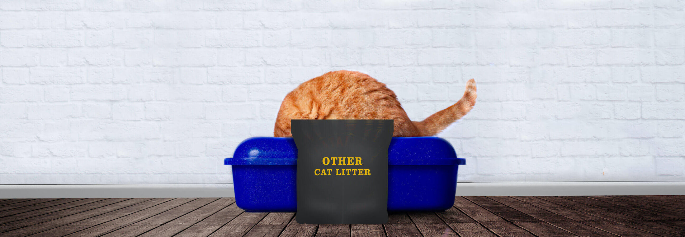 Catalyst Pet | World’s Best Catalyst Cat Pet Litter in USA