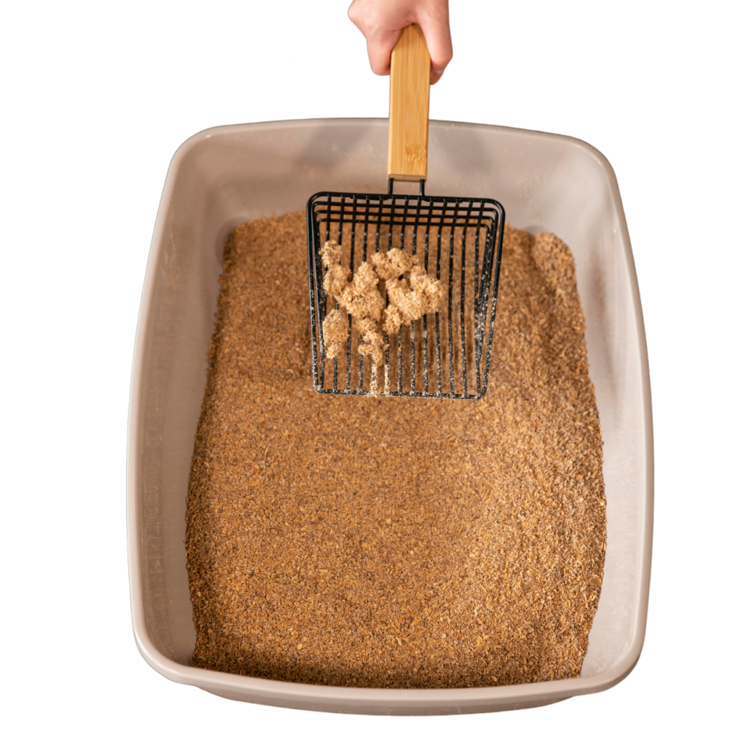 Buy Cat Litter Scoop - Catalyst Pet | Catalyst Pet